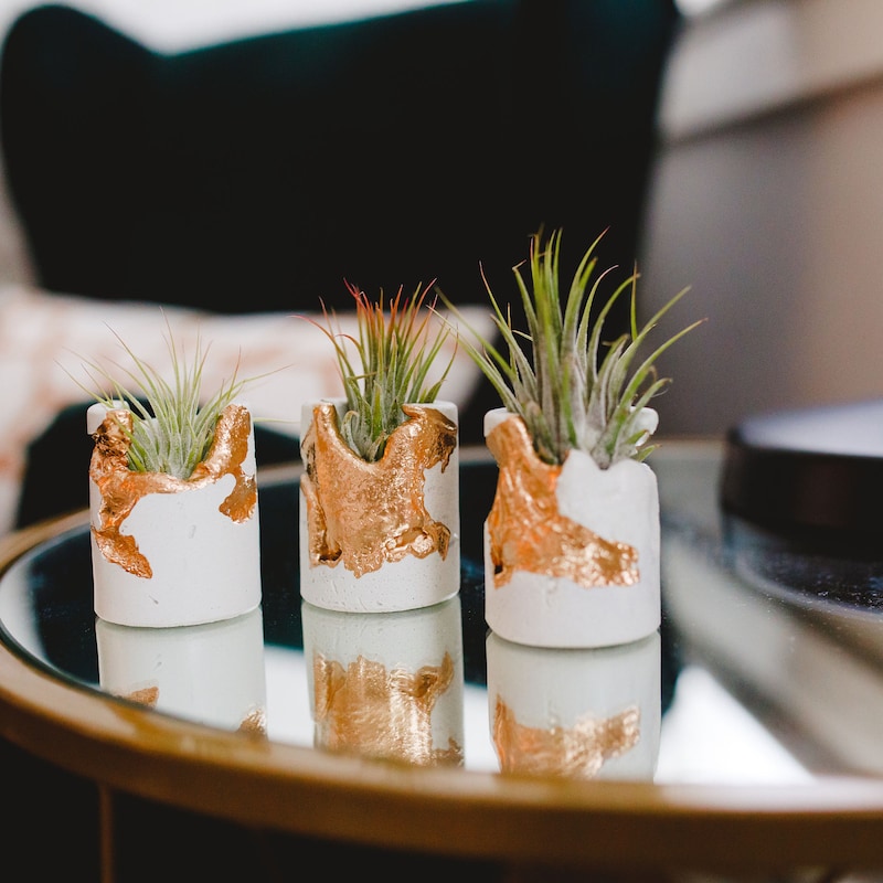 Geode Planter - Etsy