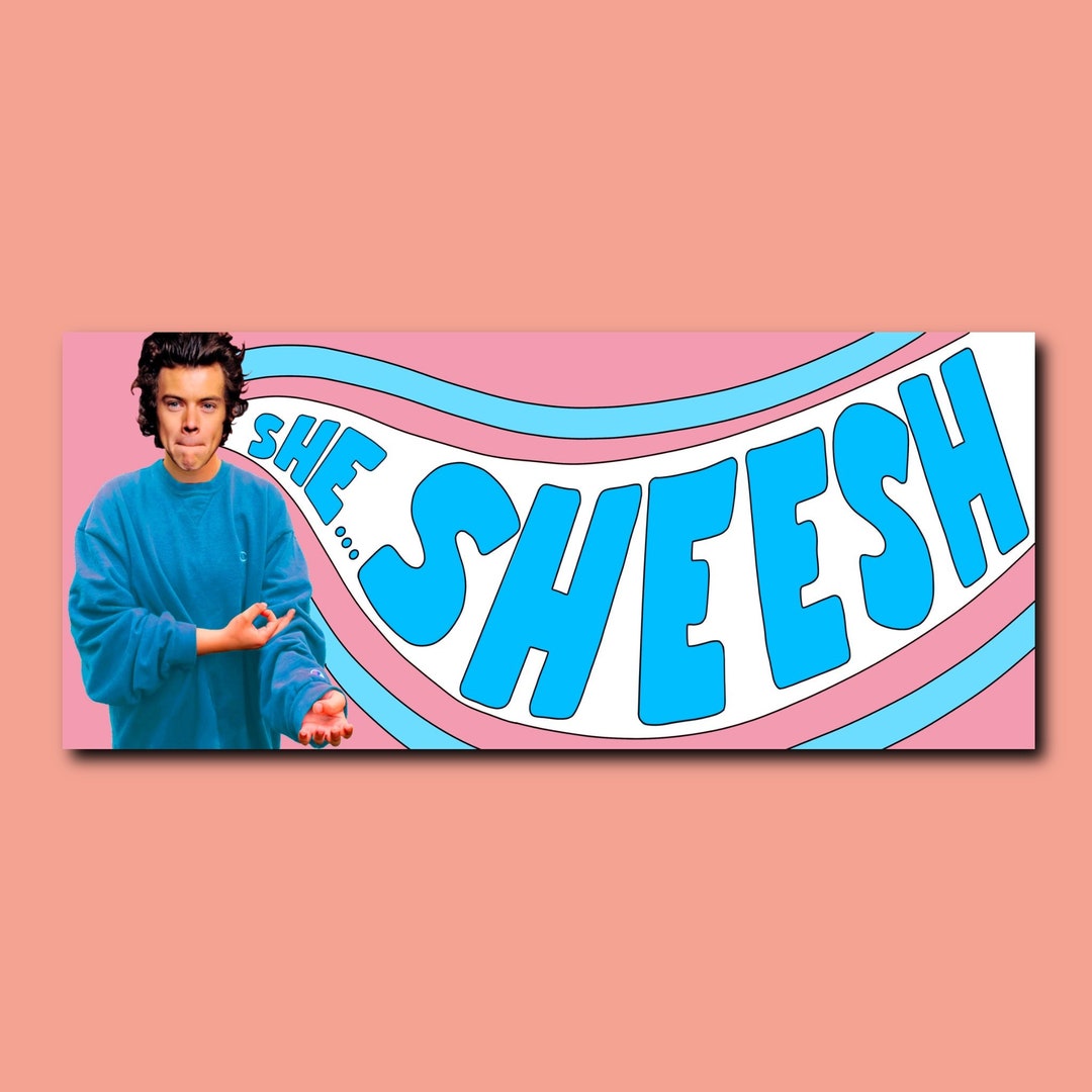 Sheesh Bumper Sticker & Car Magnet - Etsy