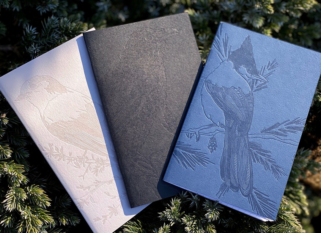 Set of 3 Pocket Letterpress Notebooks Steller's Jay/whisky Jack/raven ...