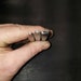 Bezel Pushers, Metal Stamp, Handmade, Metalstamp, Stamping, Chasing ...