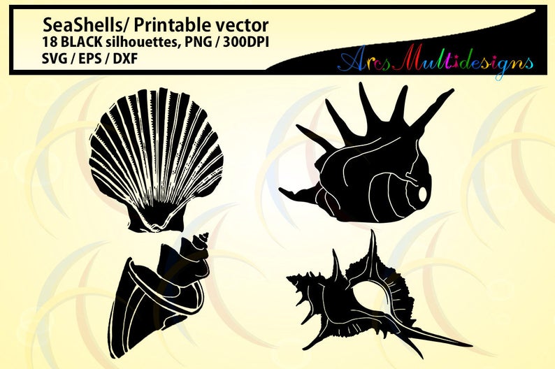 Seashells Silhouette / Sea Shell /SVG / EPS / Dxf Vector Sea - Etsy