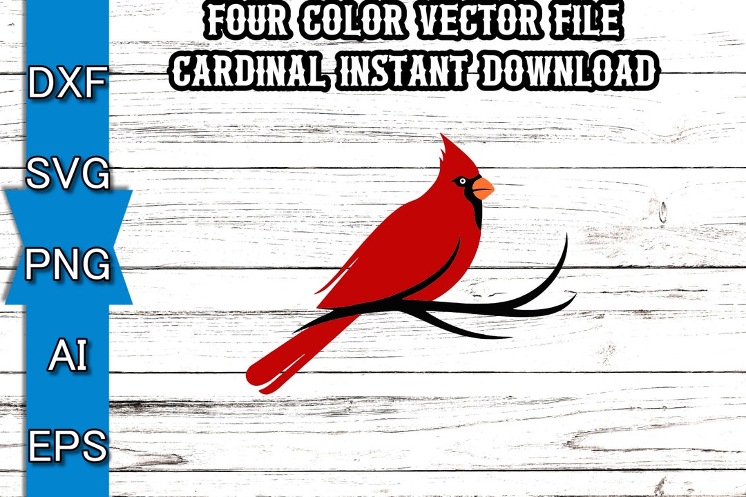 Cardinal Svg - Cardinal Cutting File - 5 File Types Included - 4 Color ...