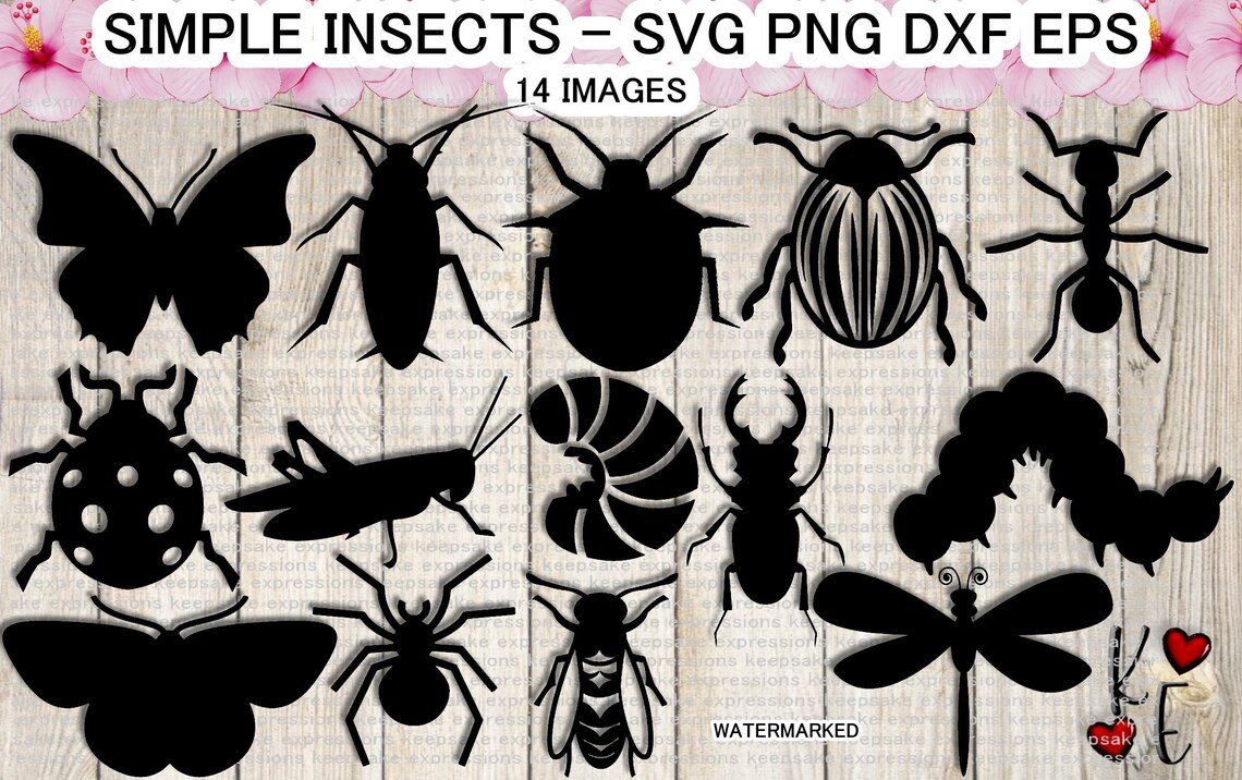 14 Insect SVG Cutting Files Insect DXF Files Insect PNG - Etsy Canada