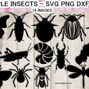 14 Insect SVG Cutting Files - Insect DXF Files - Insect PNG Files ...