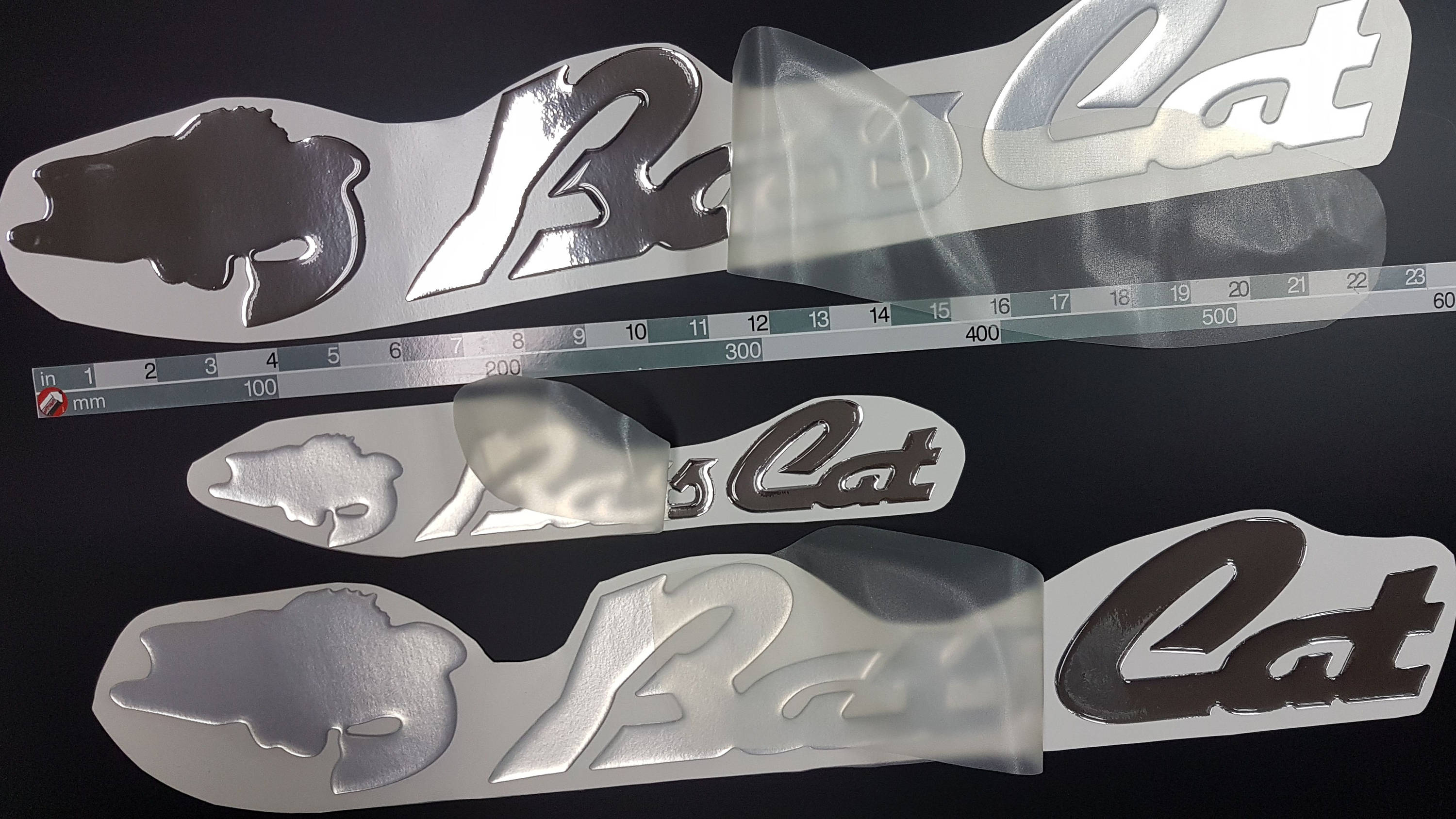 Bass Cat Boat Emblems 22.5 FREE FAST Delivery DHL | Etsy