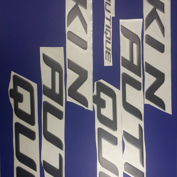 Ski Nautique Sticker - Etsy