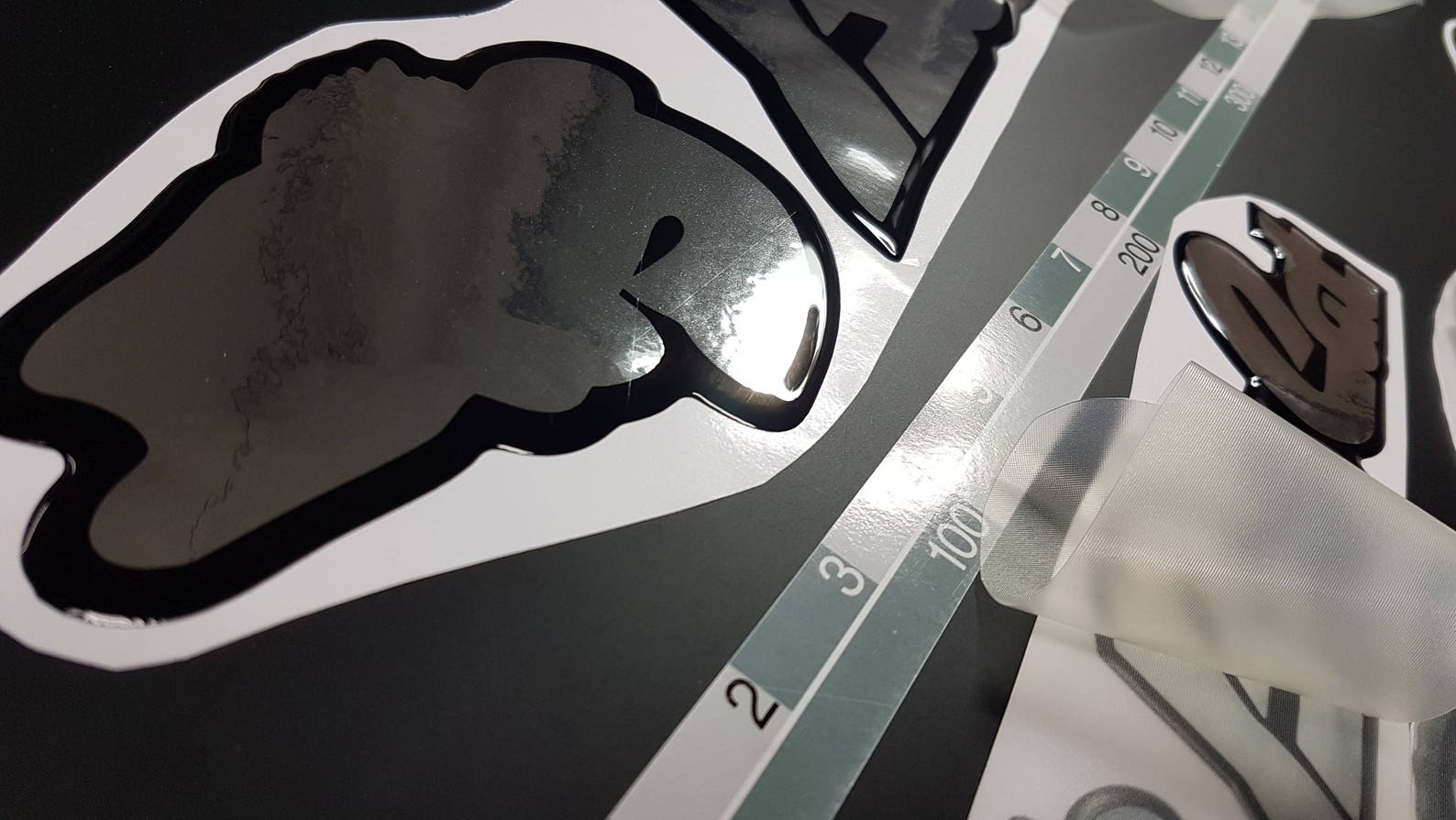 Bass Cat Boats Emblems 20 Blackchrom FREE FAST - Etsy