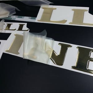 Reinell Boats Emblems 30" Gold + FREE FAST Delivery DHL Express ...