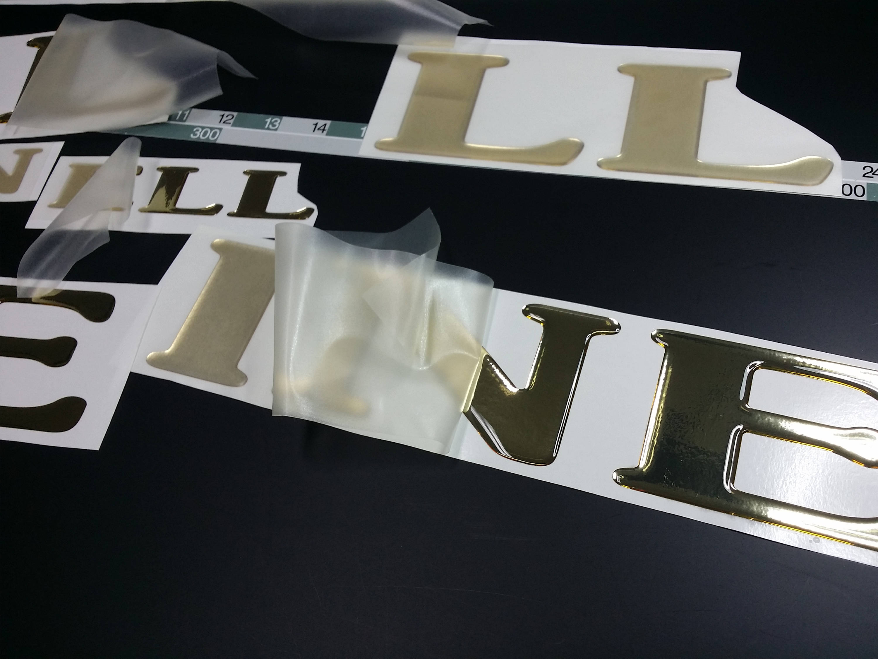 Reinell Boats Emblems 30 Gold FREE FAST Delivery DHL - Etsy