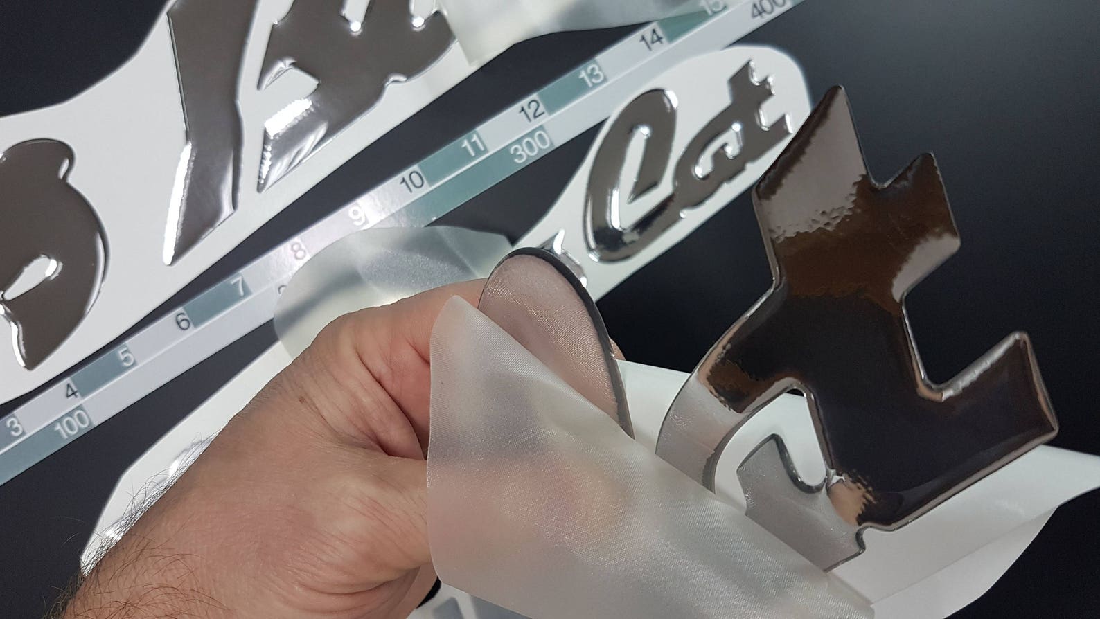 Bass Cat Boat Emblems 22.5 FREE FAST Delivery DHL - Etsy