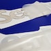 Sea Nymph Boats Emblem 22" + FREE FAST Delivery DHL Express - Raised ...