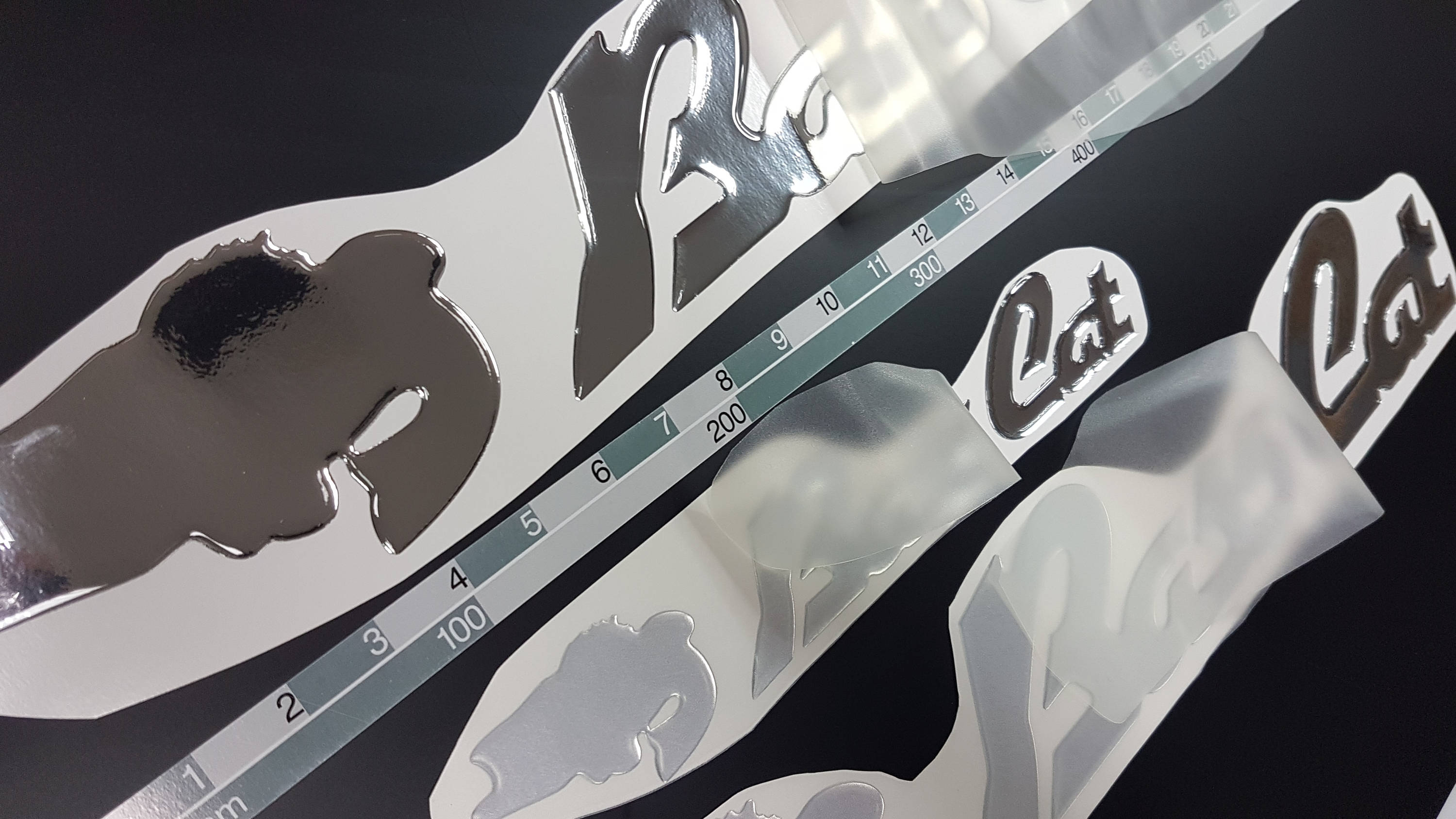 Bass Cat Boat Emblems 22.5 FREE FAST Delivery DHL - Etsy