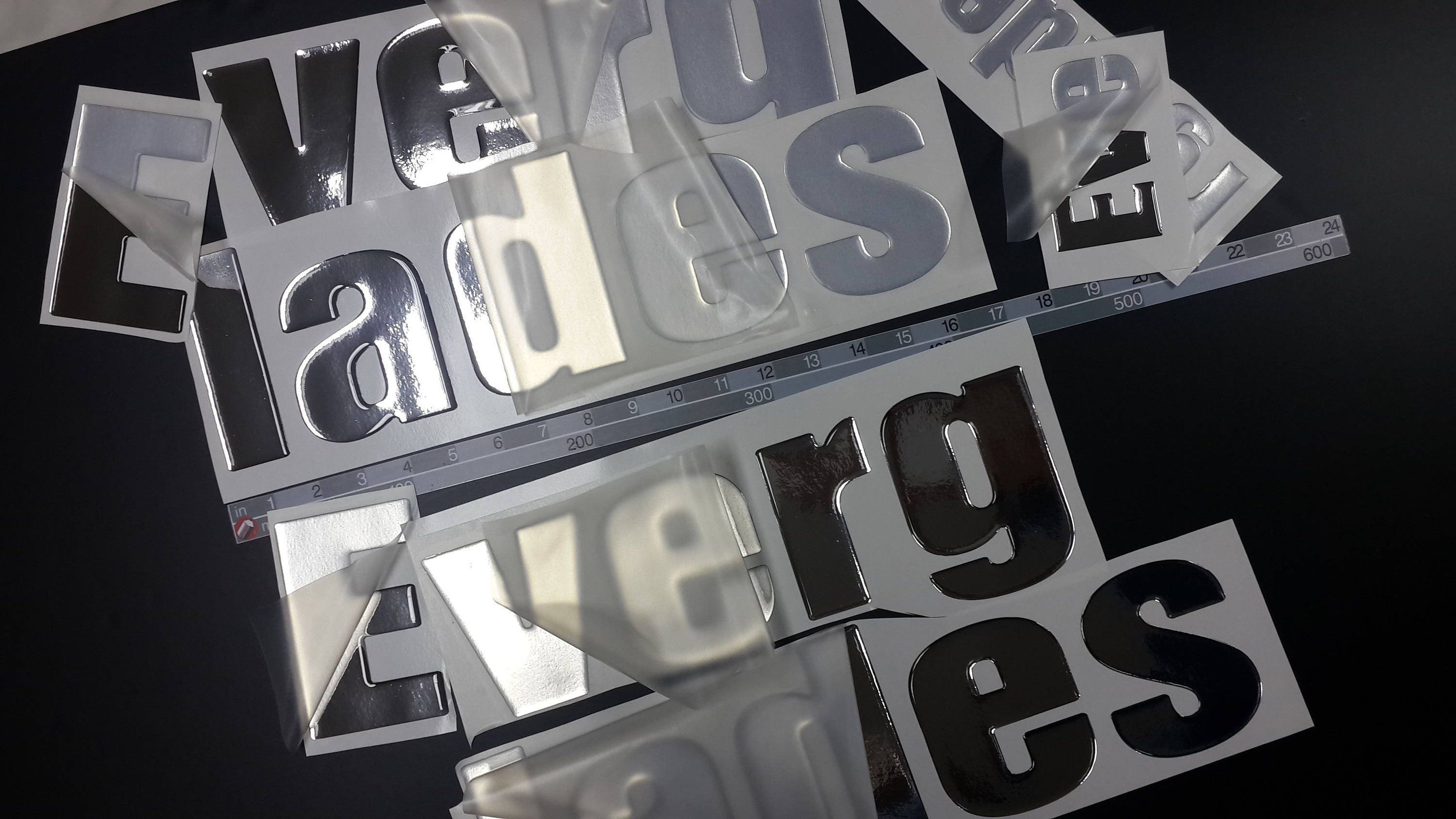 Everglades Boat Emblems 33 Chrome FREE FAST Delivery | Etsy