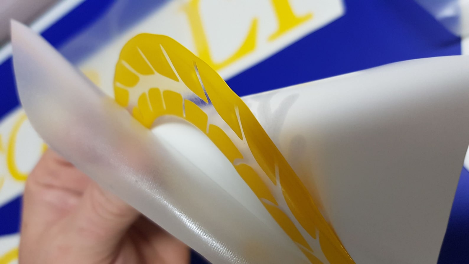 Cobalt Boat Emblem 20 Yellow FREE FAST Delivery DHL - Etsy