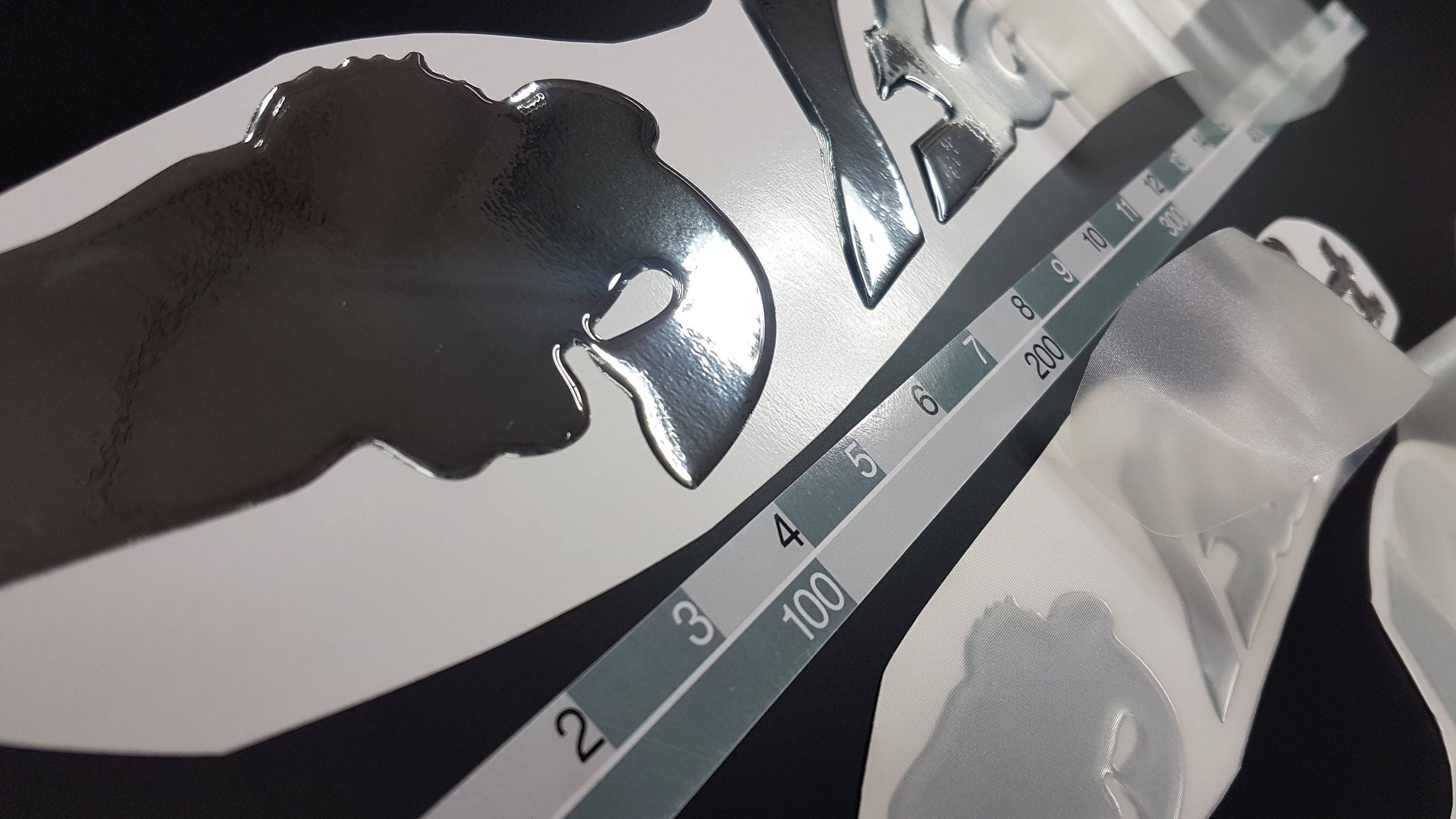 Bass Cat Boat Emblems 22.5 FREE FAST Delivery DHL - Etsy