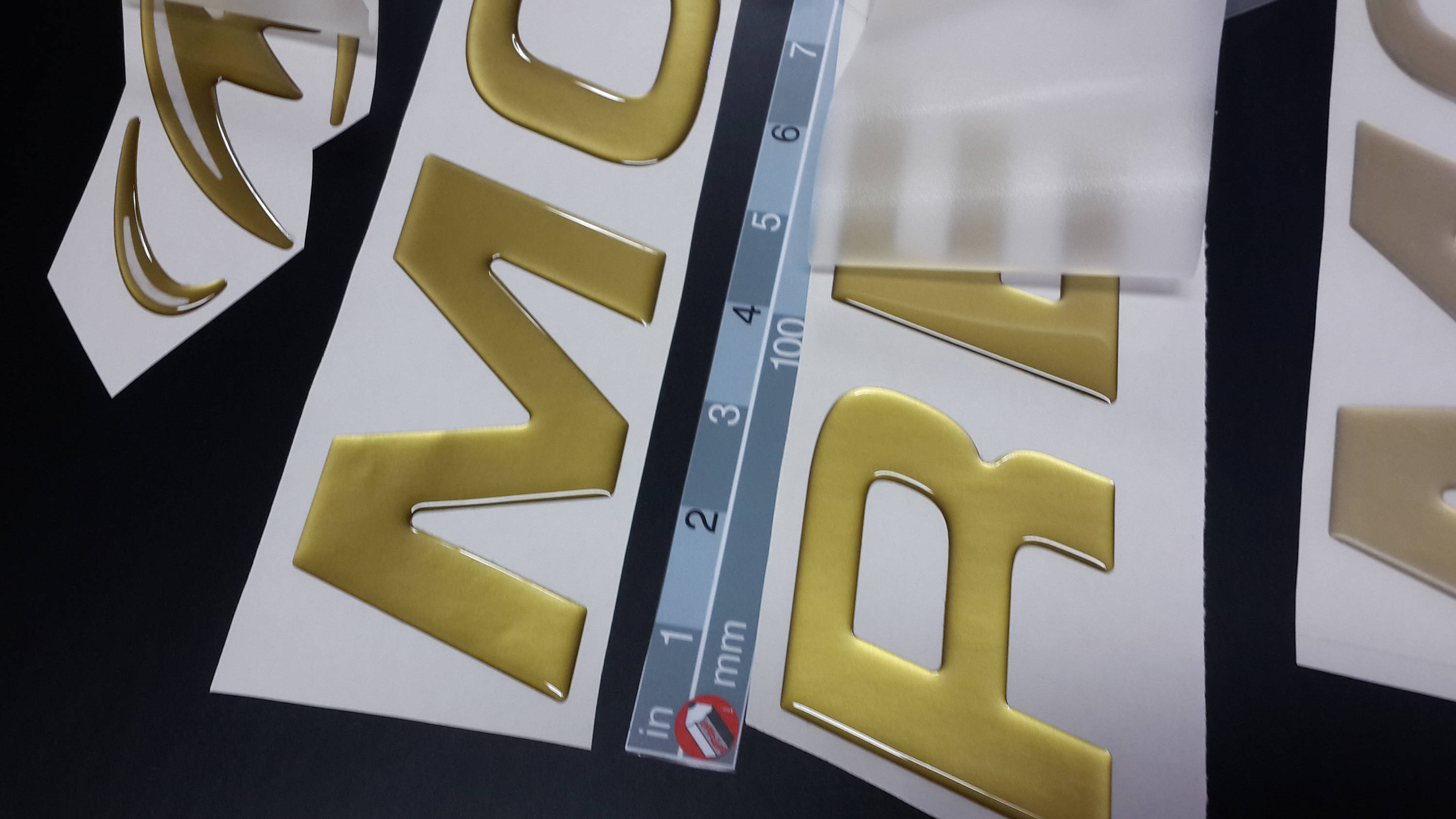 Monterey Boat Emblems 31" Old Gold + FREE FAST Delivery DHL Express ...
