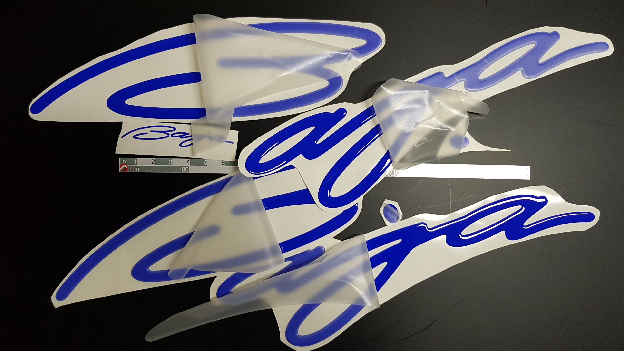 Baja Boat Emblems 40" Blue + FREE FAST Delivery DHL Express - Stickers ...