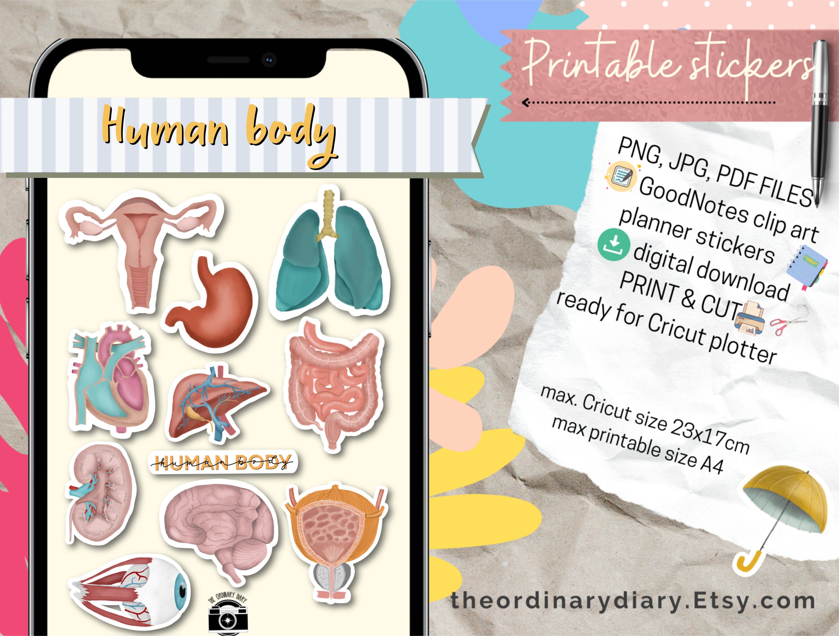 Human Body PRINTABLE STICKERS Sticker Aesthetic Digital | Etsy