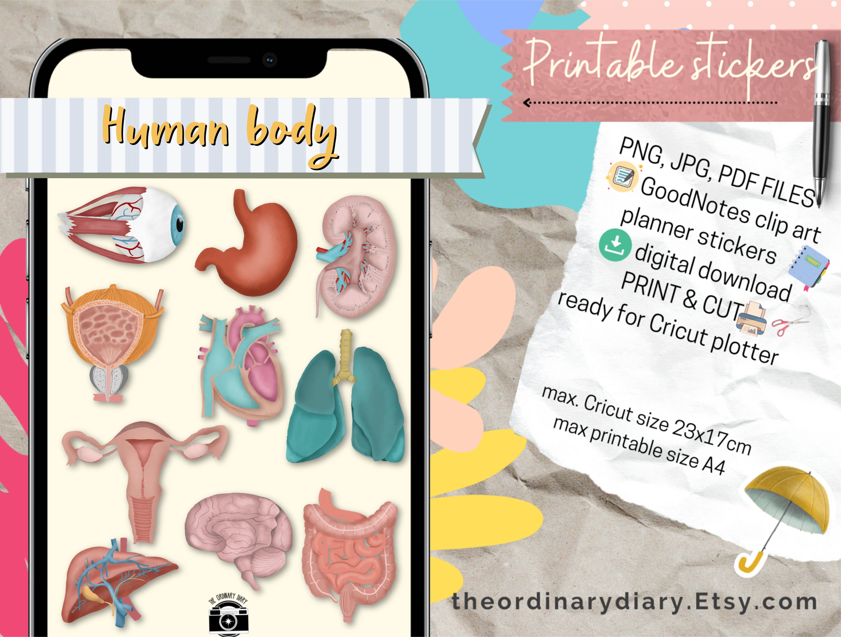 Human Body PRINTABLE STICKERS Sticker Aesthetic Digital | Etsy
