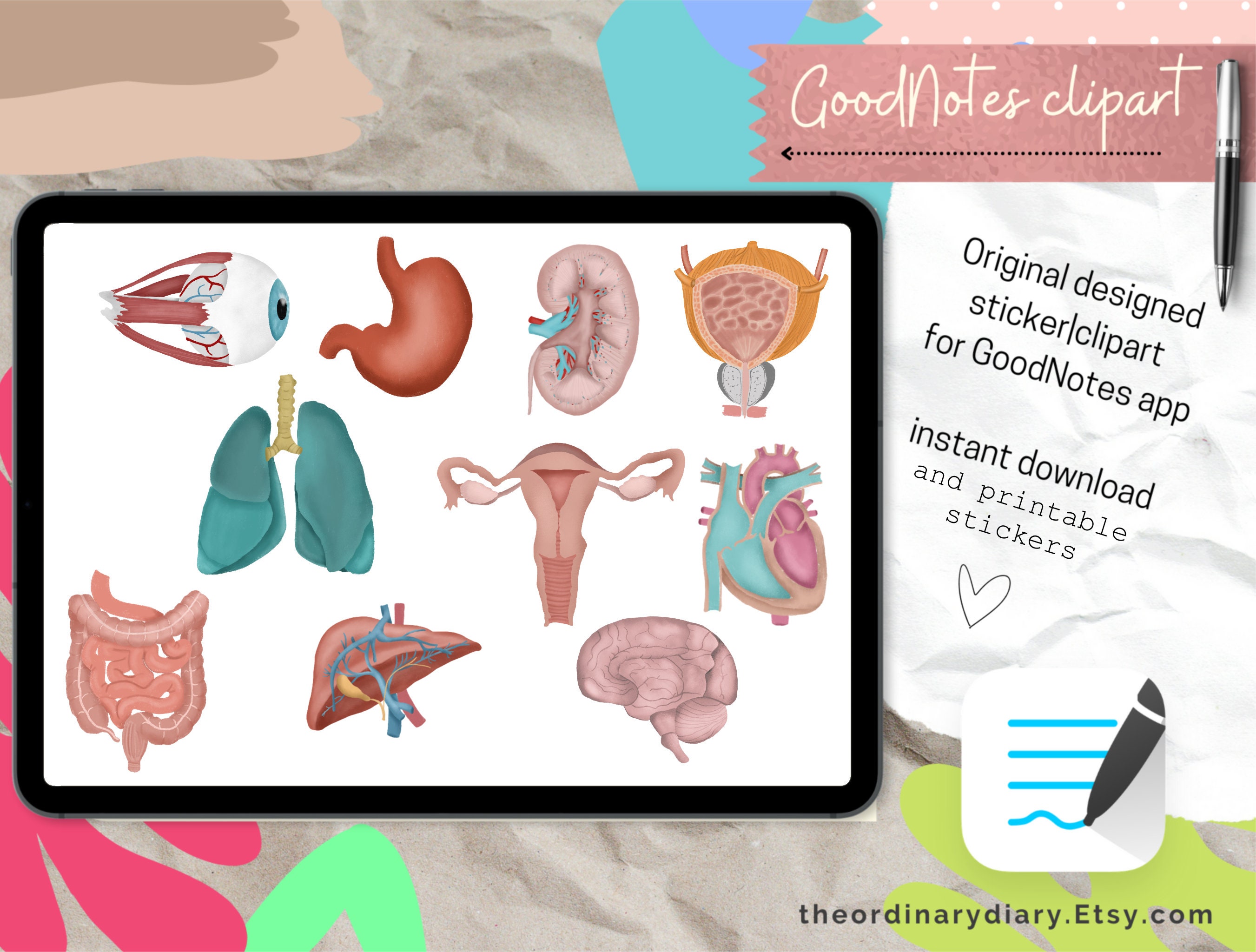 Human Body PRINTABLE STICKERS Sticker Aesthetic Digital | Etsy