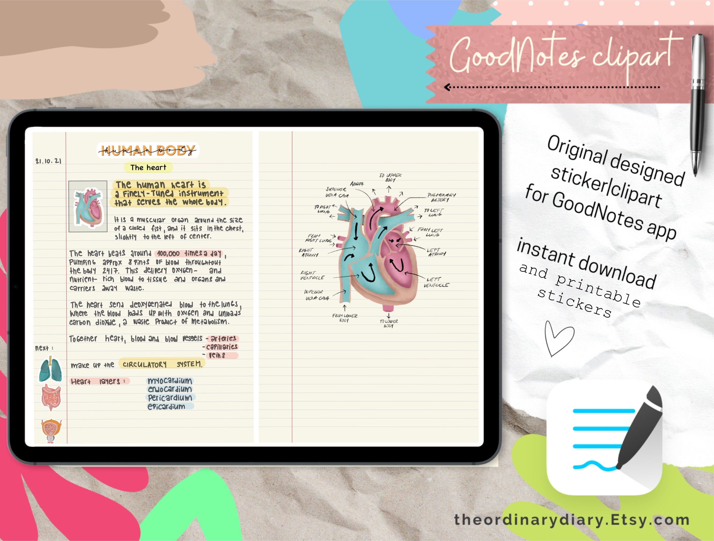 Human Body PRINTABLE STICKERS Sticker Aesthetic Digital - Etsy