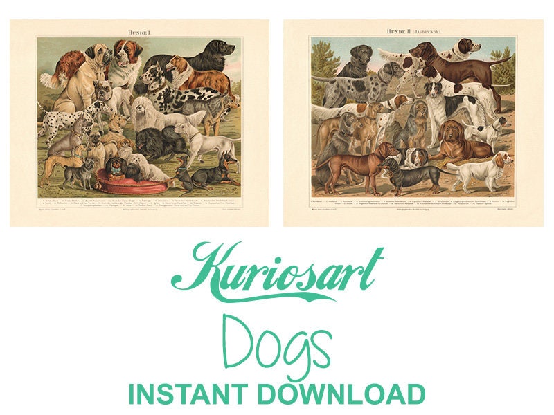 DOWNLOAD: Dogs 1897 German Prints | 200x250mm | Self-print | Animal ...