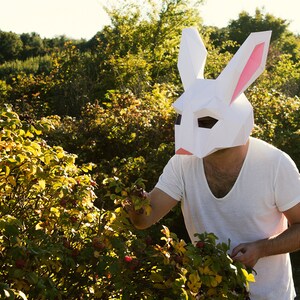 DIY Rabbit Mask, Bunny Mask, Paper Craft Template, Printable Mask ...