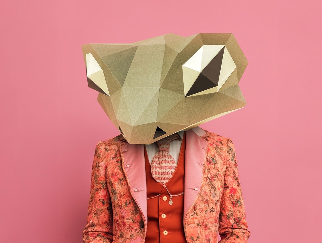 DIY Toad Mask Template, Paper Craft, DIY Printable Mask, Instant Pdf ...