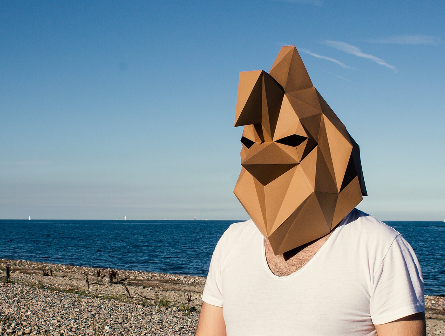 Rooster Mask Paper Craft Template DIY Printable Animal Mask | Etsy