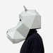 Hippopotamus Mask, Paper Craft Template, DIY Printable Hippo Animal ...