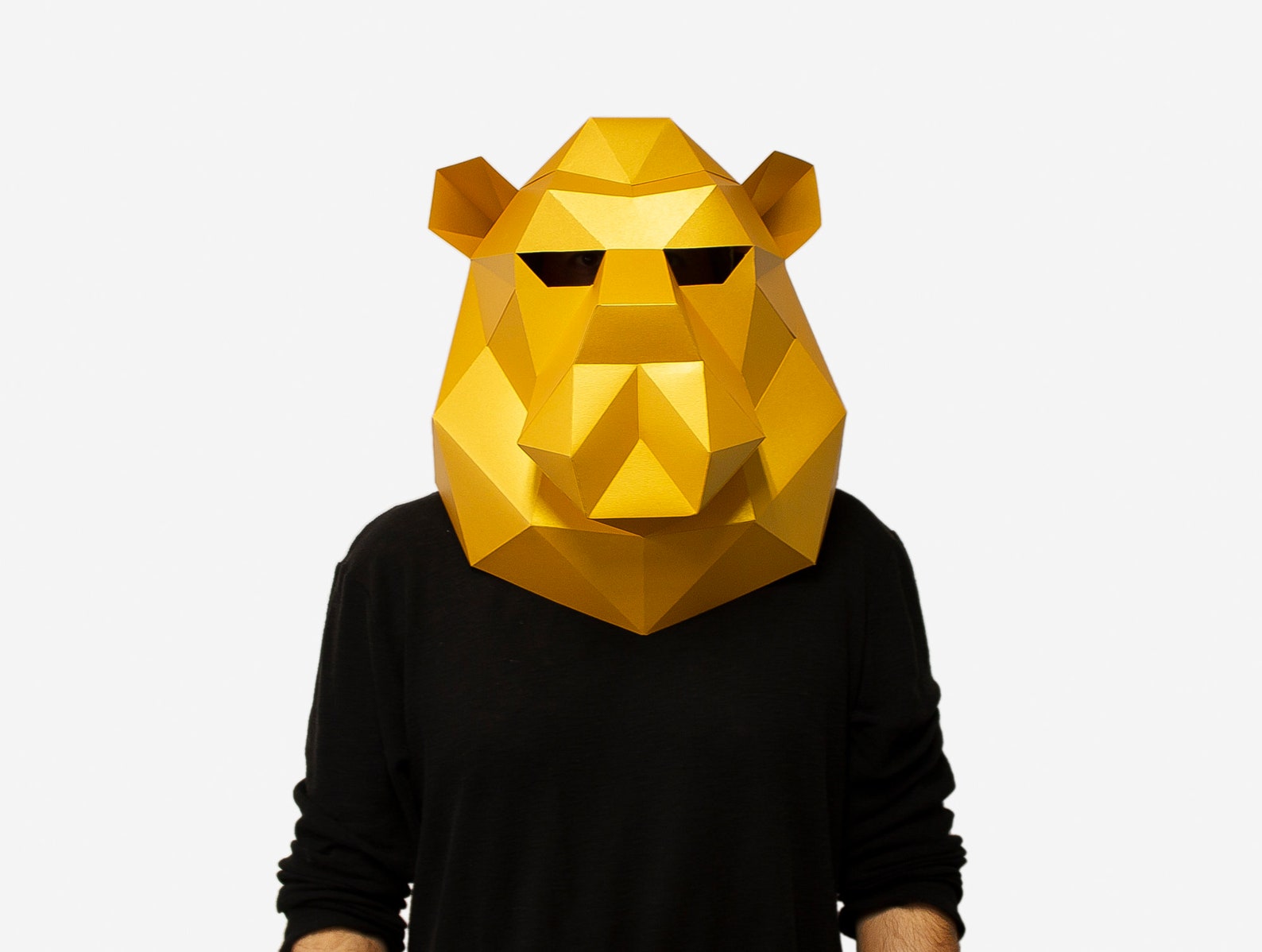 DIY Lion Mask Lion Head Paper Craft Template Halloween Mask | Etsy