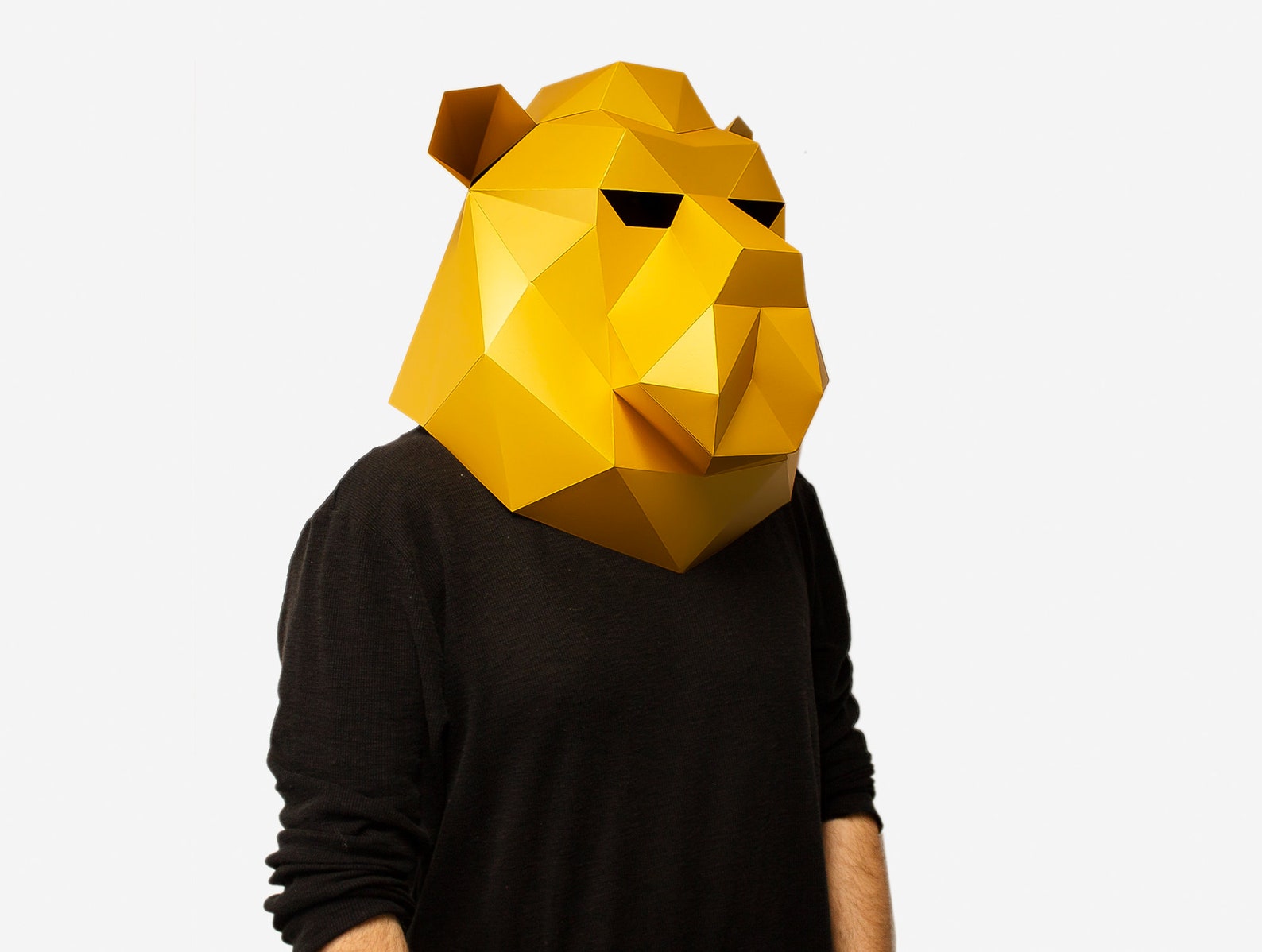 DIY Lion Mask Lion Head Paper Craft Template Halloween Mask | Etsy