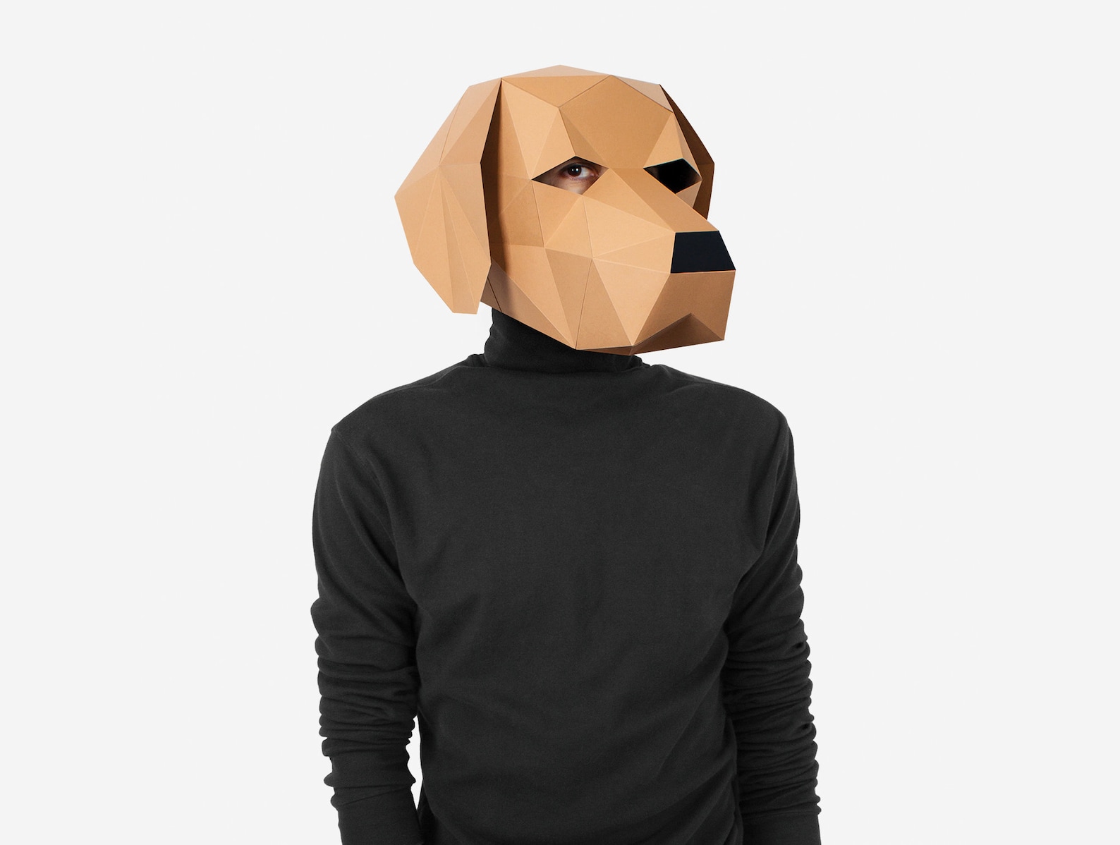 Labrador Mask Dog Paper Craft Template DIY Printable Animal - Etsy
