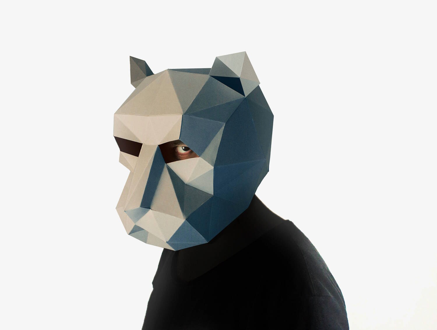 DIY Puma Mask, Cougar Mask, 3D Paper Craft Template, Halloween Mask ...