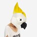 DIY Cockatoo Mask, Bird Mask, Halloween Mask, Paper Craft Template ...