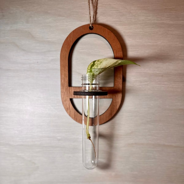 Test Tube Wall Propagation Station Frame - Etsy