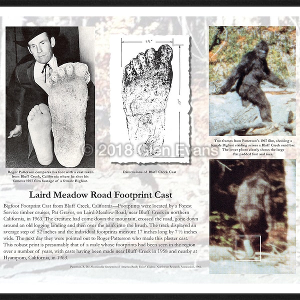 Bigfoot Cast - Etsy