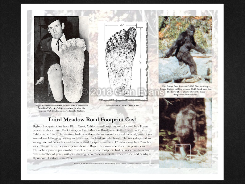 Laird Meadows Road Bigfoot/sasquatch Footprint Cast Poster (bluff Creek ...