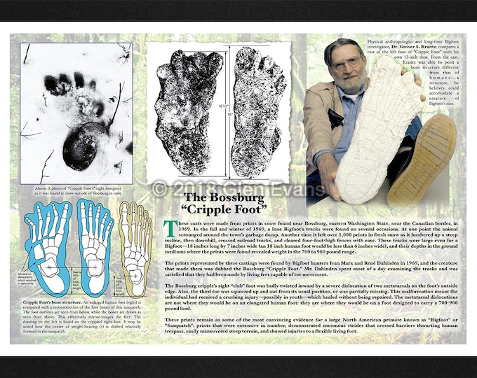 Cripple Foot Bigfoot/sasquatch Footprint Cast Poster - Etsy
