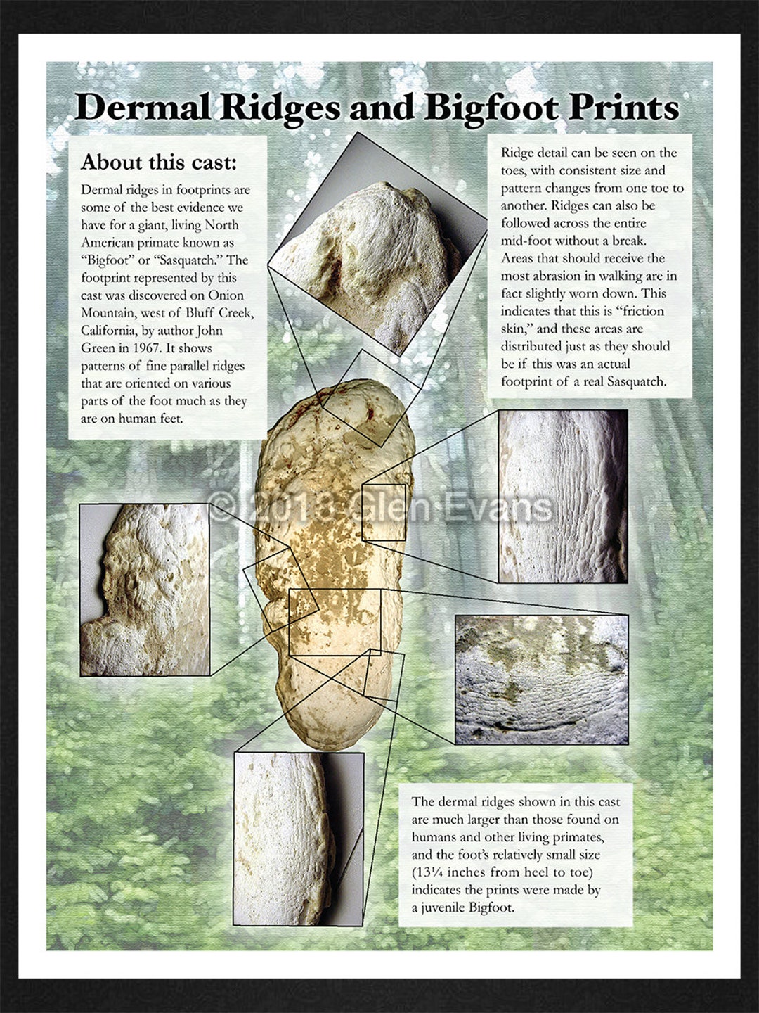 Dermal Ridges Bigfoot/sasquatch Footprint Cast Poster (onion Mountain ...