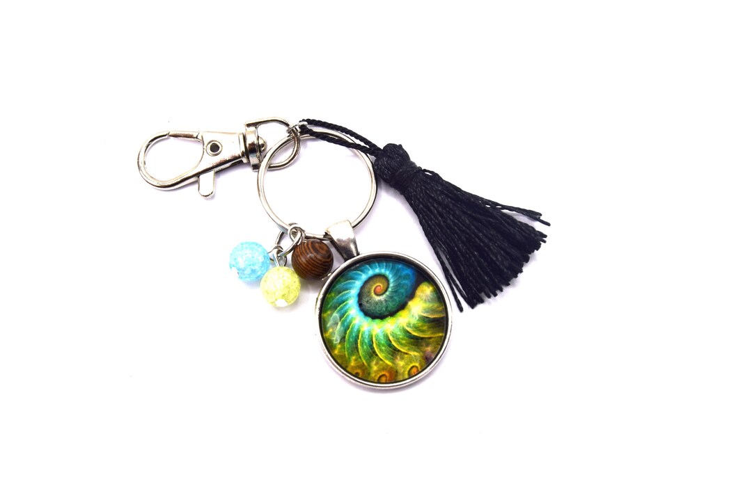 Ammonite Fossil Keyring, Spiral Snail, Bag Jewelry, Mixed Gift - Etsy
