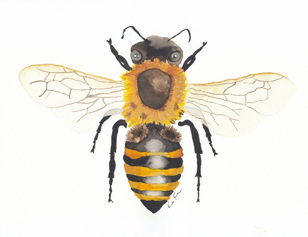 Queen Bee Watercolor Painting Insect Office Wall Art Playroom ...