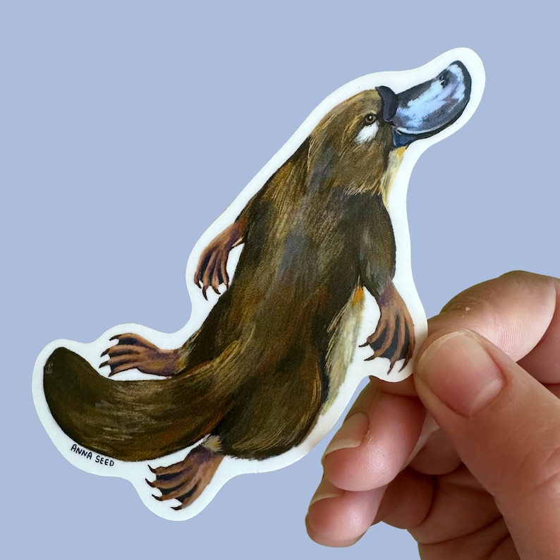 Sticker - Platypus - Matte Waterproof Vinyl - Etsy Australia