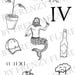 Luca the Bear Tattoo Designs, Digital Download, Instant Access ...