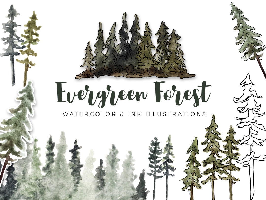 Evergreen Forest Watercolor Clipart for and Digital Designs or ...