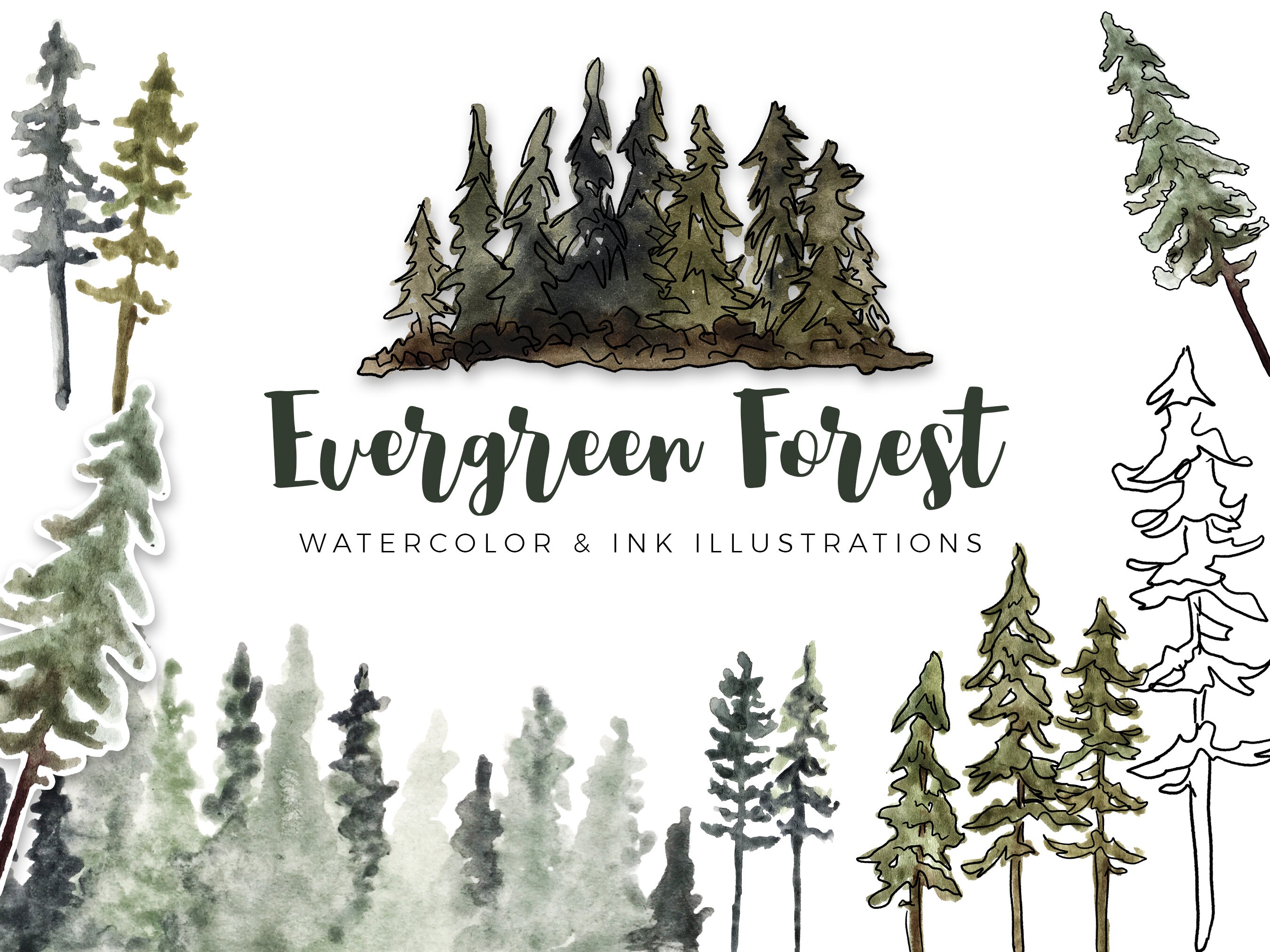 Evergreen Forest Watercolor Clipart for and Digital Designs or ...
