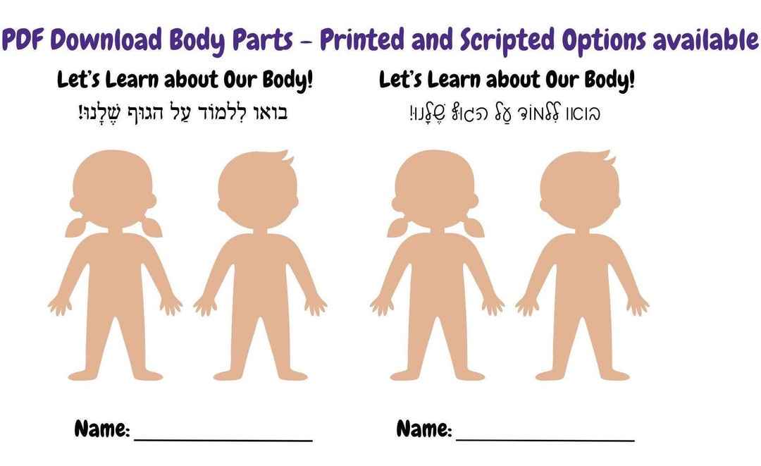 Hebrew Body Parts Worksheet PDF Immediate Download - Etsy