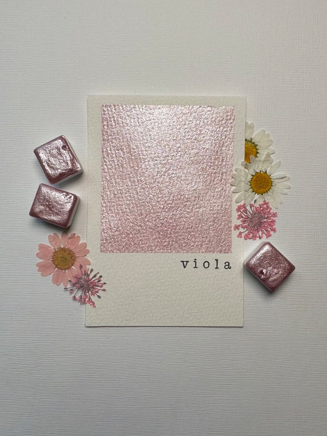 Viola Shimmer Light Pink Watercolor Paint Half Pan for Calligraphy, Art ...