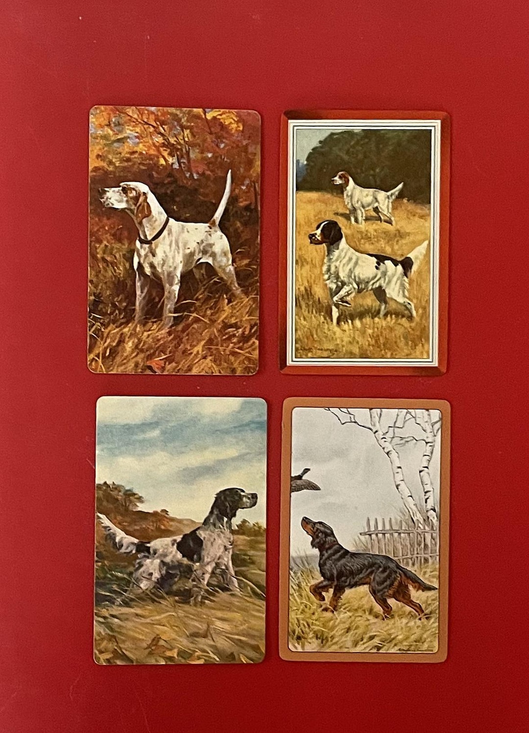 16 Bird Dog Trading Cards - Etsy