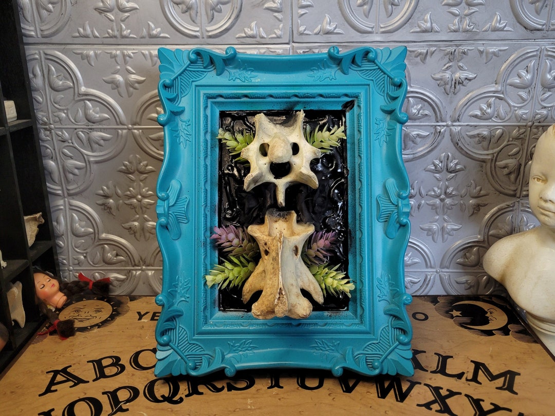 Deer Vertebra Frame, Table Decor, Gothic Decor, Deer Decor, Horror ...